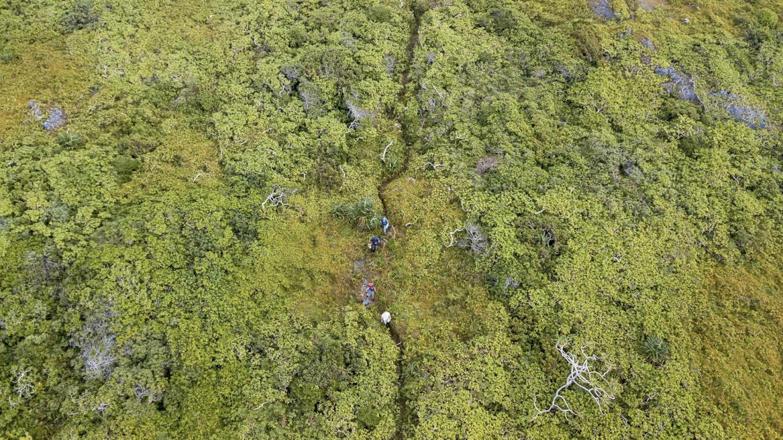 About Henderson Island | 2024 Henderson Island Expedition