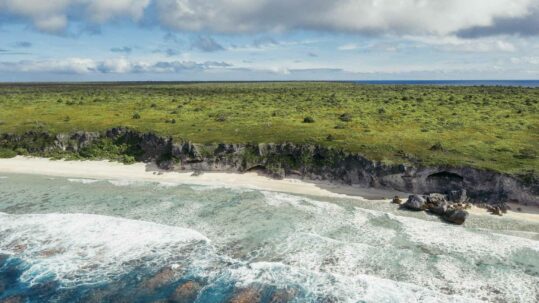 About Henderson Island | 2024 Henderson Island Expedition