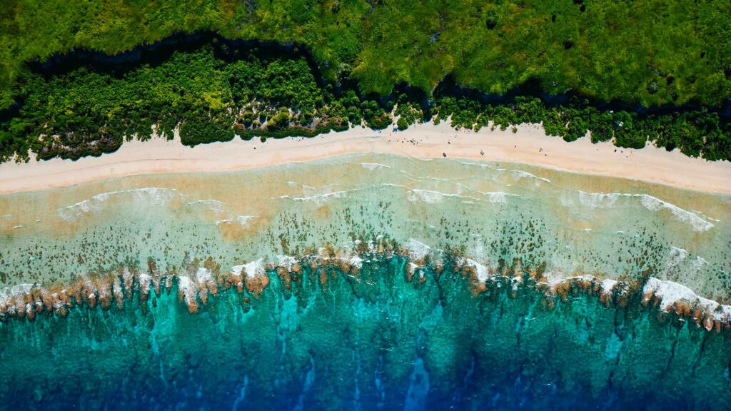 About Henderson Island | 2024 Henderson Island Expedition